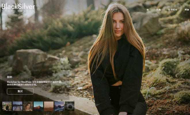 专为专业摄影师而设计，Blacksilver摄影主题，精美的页面布局，完美兼容Elementor – 塔克网 - WordPress主题 - 全自动采集发布整站模板